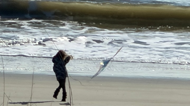 Soaring High: Embracing the Learning Journey to Master Kite Flying and ...